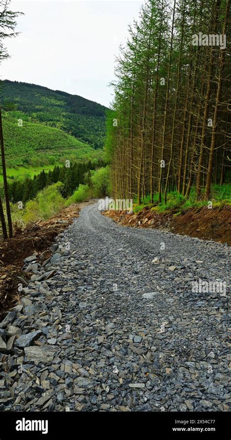 Forestry Operations In Wales Upgrade To Forest Road Before Timber