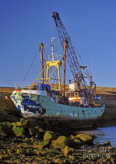 Dolly Mop Photograph By Stan Pritchard Pixels