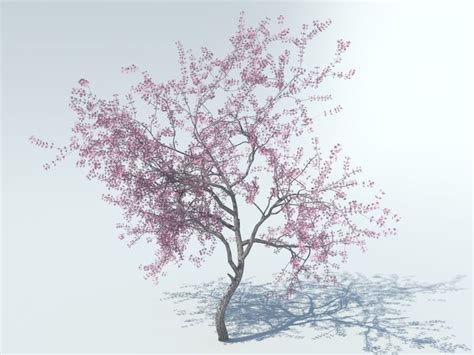sakura tree tree free 3d models download free3d