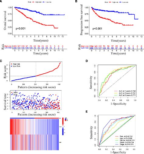 Figure 4 From Identification And Validation Of A Gap Junction Protein