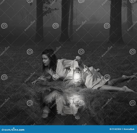 Nimf Stock Foto Image Of Mythe Haar Chiffon Volwassen 9142304