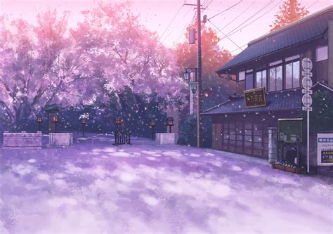 500 Cherry Blossom Backgrounds