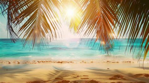 Premium Photo Summer Landscape Of Tropical Island Branches Of Palm Trees