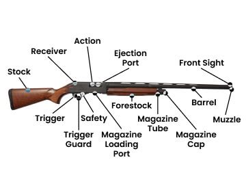 Parts Of A Shotgun A Complete Guide To How It Works Academy