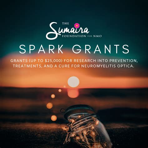 Spark Grants Neuromyelitis Optica Spectrum Disorder Sumaira