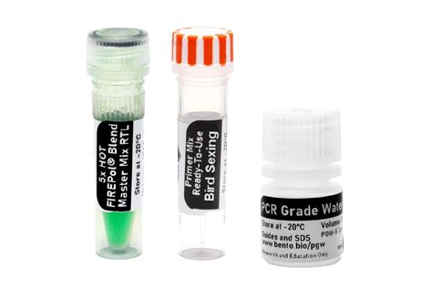 Bird Sexing Test Bird Dna For Male Or Female Bento Lab