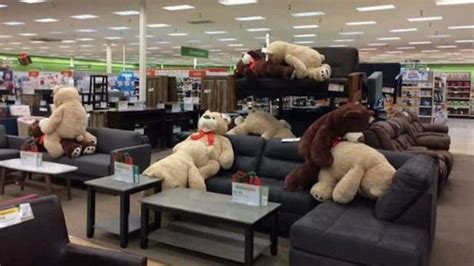 Photo Nsfw Naughty Teddy Bears Caught In Sex Positions In Store