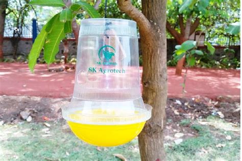 Pheromone Traps Sk Agrotech