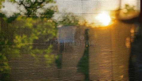Mosquito Net Wire Screen On House Window Protection Against Insect Stock Illustration