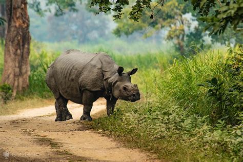 Mahu The Third Sex Of Tahiti French Polynesia Got2globe