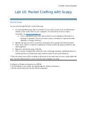 Netlab Docx CSC Secure Systems Lab Packet Crafting With Scapy Instructions As You