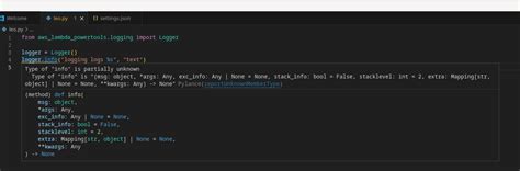 Typing Getting Type Errors On Logger Usage Issue Aws