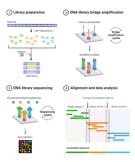 next generation sequencing principle steps involved and applications