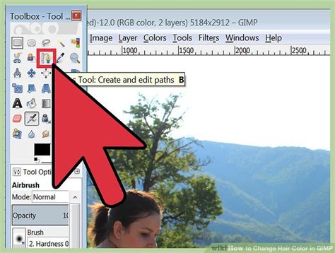 How To Change Hair Color In GIMP 13 Steps With Pictures
