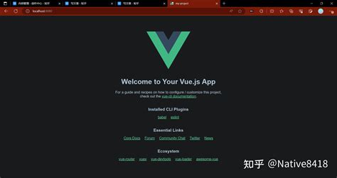 一小时实践入门 Vue Devtools（一） 知乎