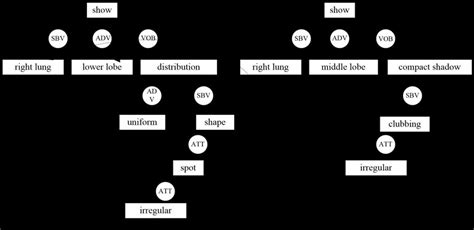 Two Matching Relation Of Conceptual Graphs Download Scientific Diagram