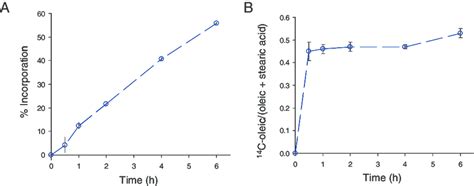 Time Course Of 14 C Stearic Acid Uptake And Metabolism In Hepg2 Cells