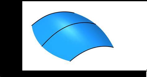 How To Loft In Grasshopper Step By Step Guide Hopific