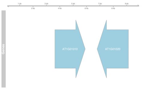 Read Gtf File Into R Dave Tangs Blog