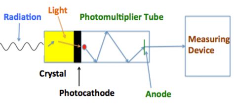1 Basic Configuration Of A Scintillator Based Radiation Detector Download Scientific Diagram