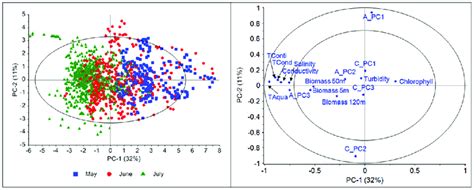 Score Plot Left And Correlation Loading Plot Right For The Download Scientific Diagram
