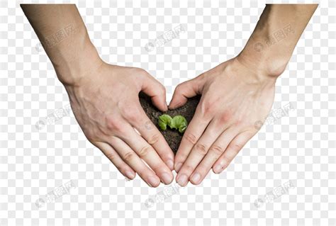 흙에 새싹을 들고 손 Png 일러스트 무료 다운로드 Lovepik