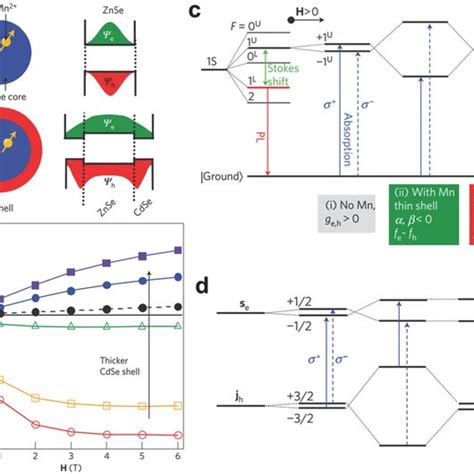 Zhiyong Tang Professor Full Doctor Of Philosophy National Center For Nanoscience And