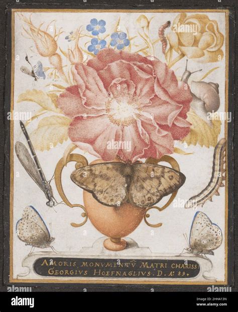 Still Life With Flowers A Snail And Insects 1589 Joris Hoefnagel Netherlandish Joris Hoefnagel