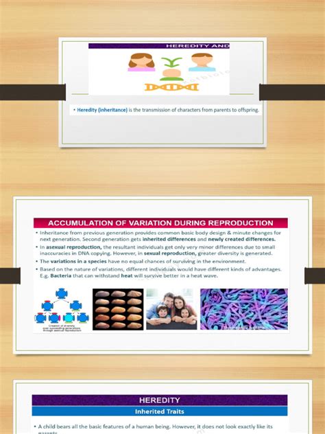 Heredity Class 10 Pdf Heredity Class 10 Pdf