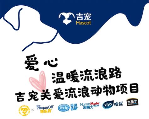 爱心温暖流浪路 吉宠携手三毛孟智超先生为上海报恩寺捐助20万元物资 公益 维宠宠物导航网
