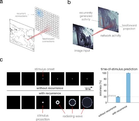 a topographic recurrent network model encodes temporal information of