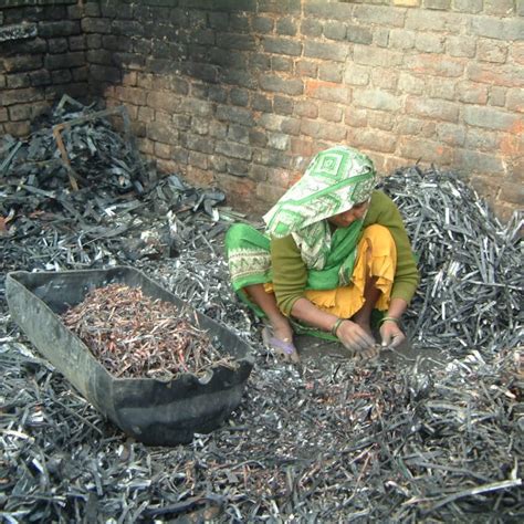 Vrushal Pendharkar Archives Mongabay India