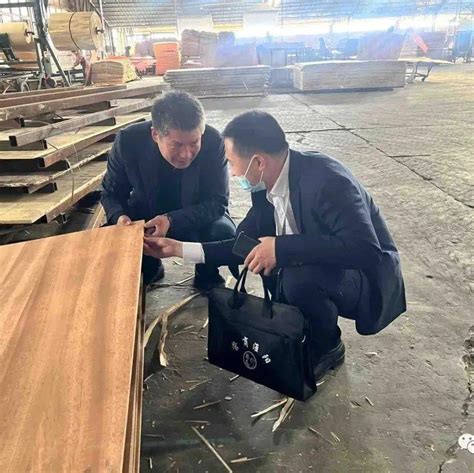 周口市淮阳区20名帮办代办员正式上岗 企业办事顺了营商问题环境