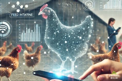 智慧养鸡的核心技术：智能脚环与数据分析aiotagro 爱农云联 致力于高效、安全的食品生产
