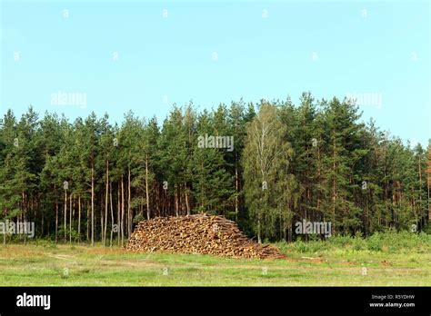 Marco De Paja Fotografías E Imágenes De Alta Resolución Alamy