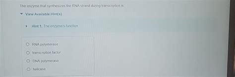 Solved The Enzyme That Synthesizes The Rna Strand During