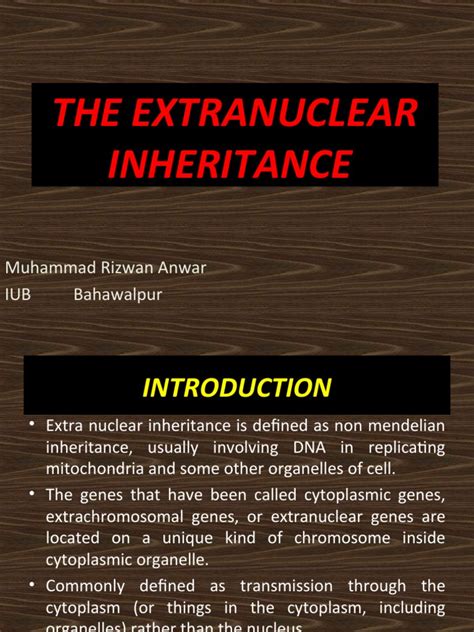 Extranuclear Inheritance Explained Pdf Rna Mitochondrion