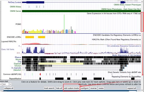 Ucsc Genome Browser 上传并自己的文件 Emanlee 博客园 Ucsc Genome Browser 上传并自己的文件 Emanlee 博客园