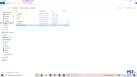 KiỂm ThỬ TỰ ĐỘng VỚi Selenium Webdriver HƯỚng DẪn CÀi ĐẶt Selenium Webdriver Plt Solutions