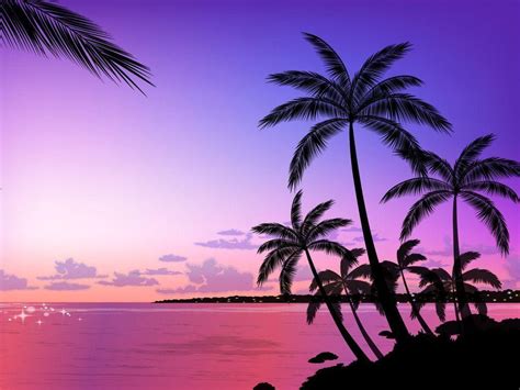 Purple Tropical Sunset Beach Wallpapers Top Free Purple Tropical