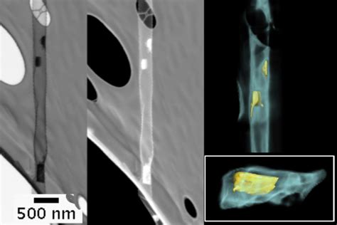 Abstract It 10 P 3208