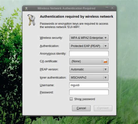 Eui Wifi Configuration For Gnu Linux Ubuntu • European University Institute