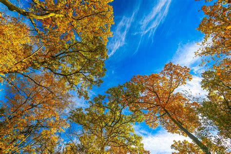 краски осени · бесплатная фотография от Photomonstr картинки и обои на рабочий стол