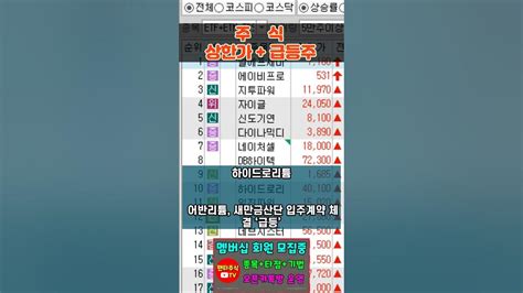 주식 상한가테마주급등주지투파워일진파워db하이텍알에프세미에이비프로바이오자이글신도기연네이처셀하이드로리튬데브
