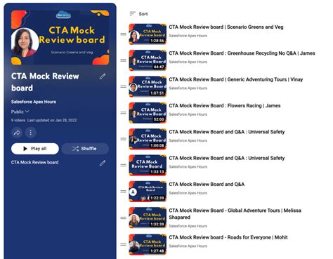 Salesforce Cta Mock Scenarios Apex Hours