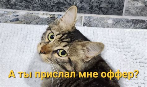 Dmitrii Ashmarin в Linkedin React Nodejs Typescript Lookingforajob