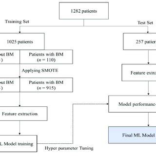 Machine Learning ML Modeling Process Download Scientific Diagram