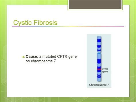 Genetic Disorders Learning Goal To Learn About Genetic