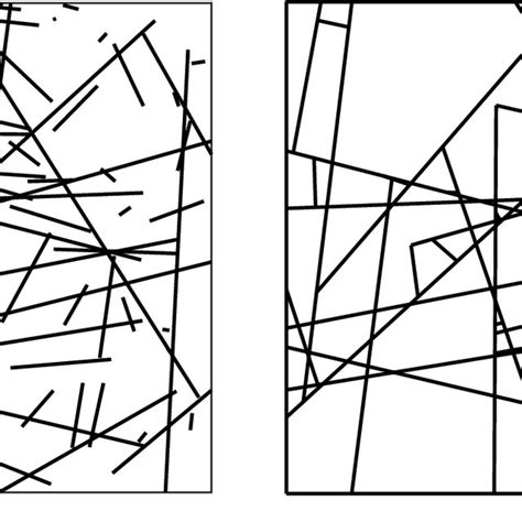 A Sample Of Dfn Model Before The Left And After The Right The Download Scientific Diagram