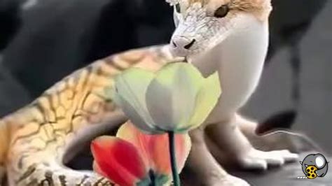 سال اژدها مبارک فیلو